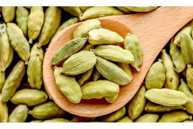 Cardamom Health Benefits: Use the Queen of Spices to Control Diabetes ...